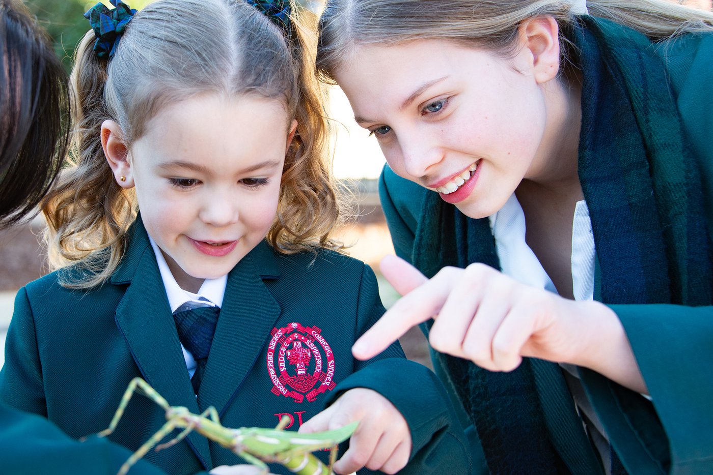 Enquiry based learning gives students a better understanding of the world